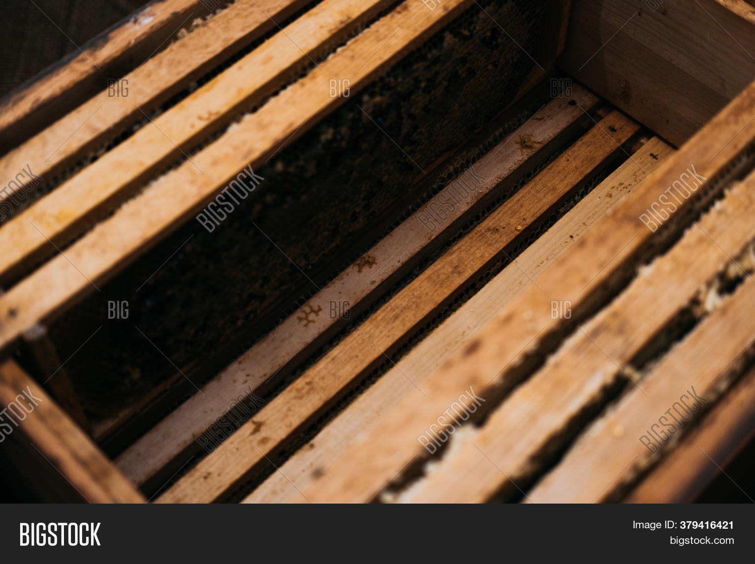 Frame Honeycomb. Honey Image & Photo (Free Trial) | Bigstock