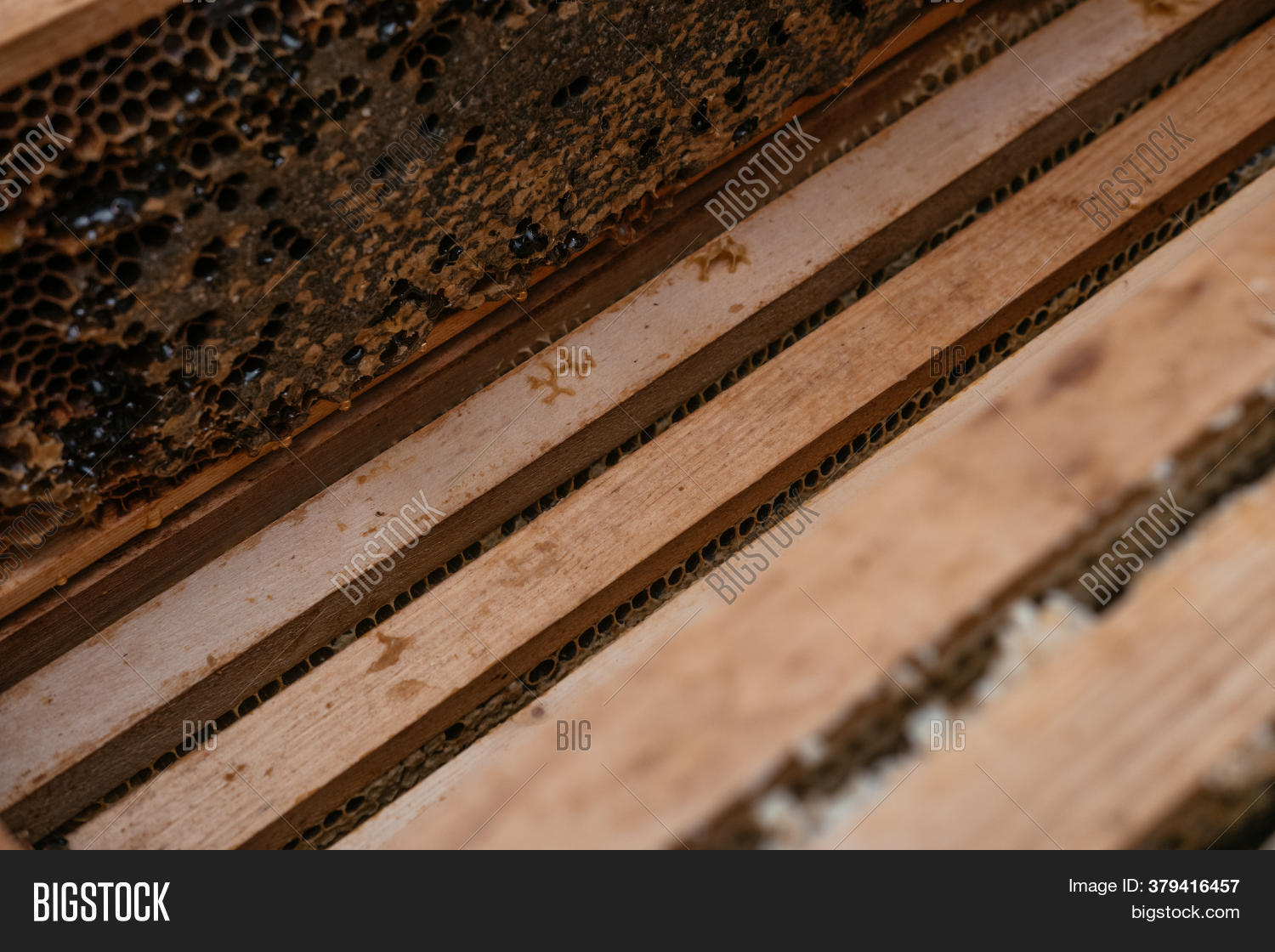 Frame Honeycomb. Honey Image & Photo (Free Trial) | Bigstock