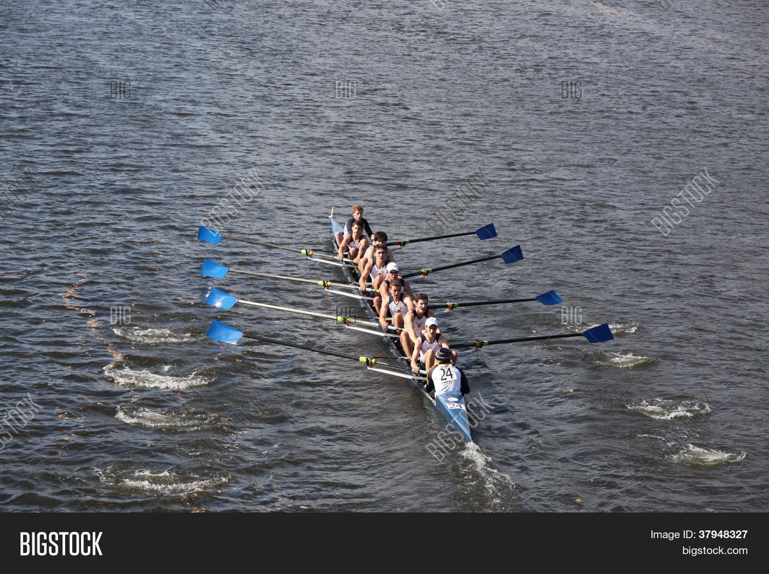 Three Rivers Rowing Image & Photo (Free Trial) | Bigstock