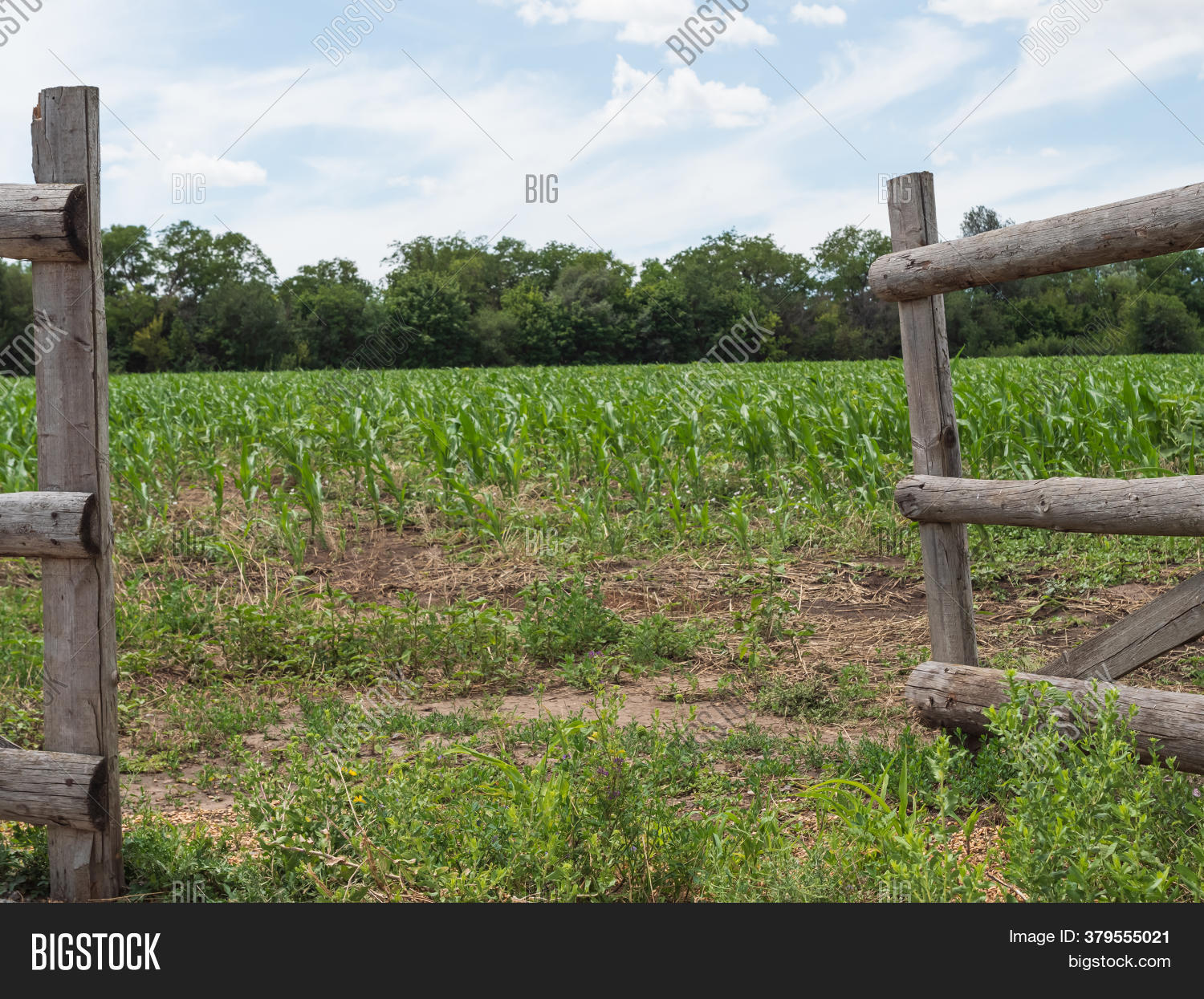 Rural Wooden Fence. Image & Photo (Free Trial) | Bigstock