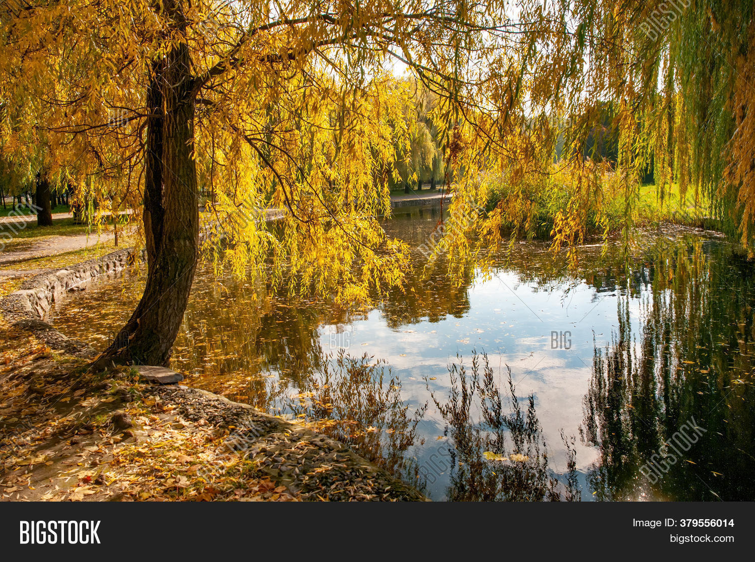 Beautiful Autumn Park Image & Photo (Free Trial) | Bigstock