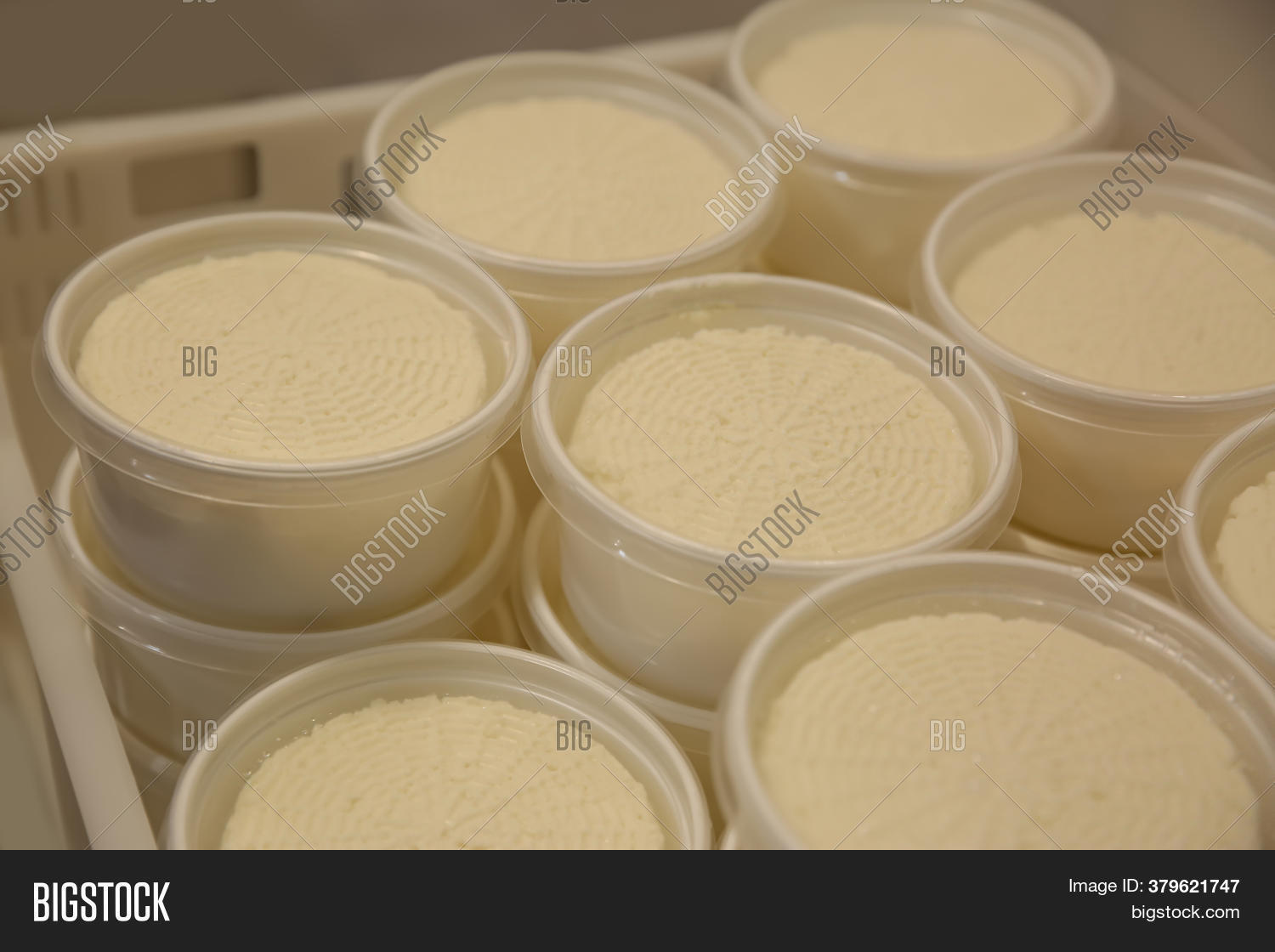 Moulds Pressed Cheese Image & Photo (Free Trial) | Bigstock