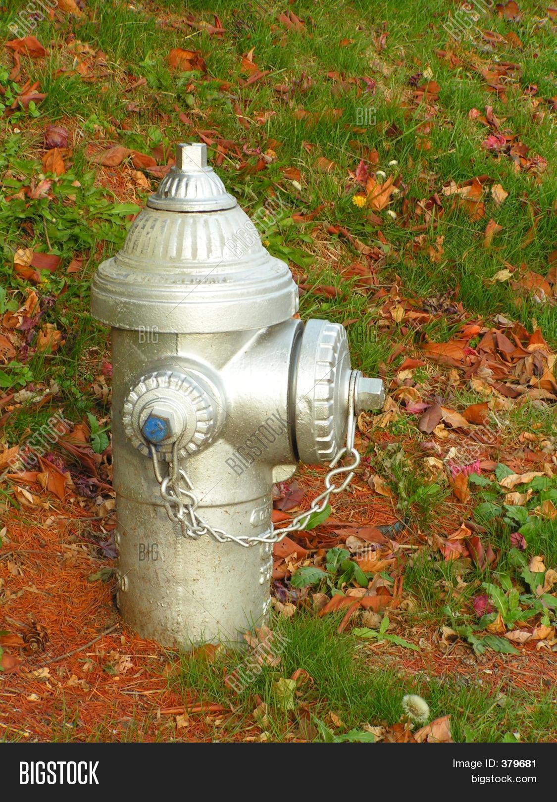 Fire Hydrant Image & Photo (Free Trial) | Bigstock