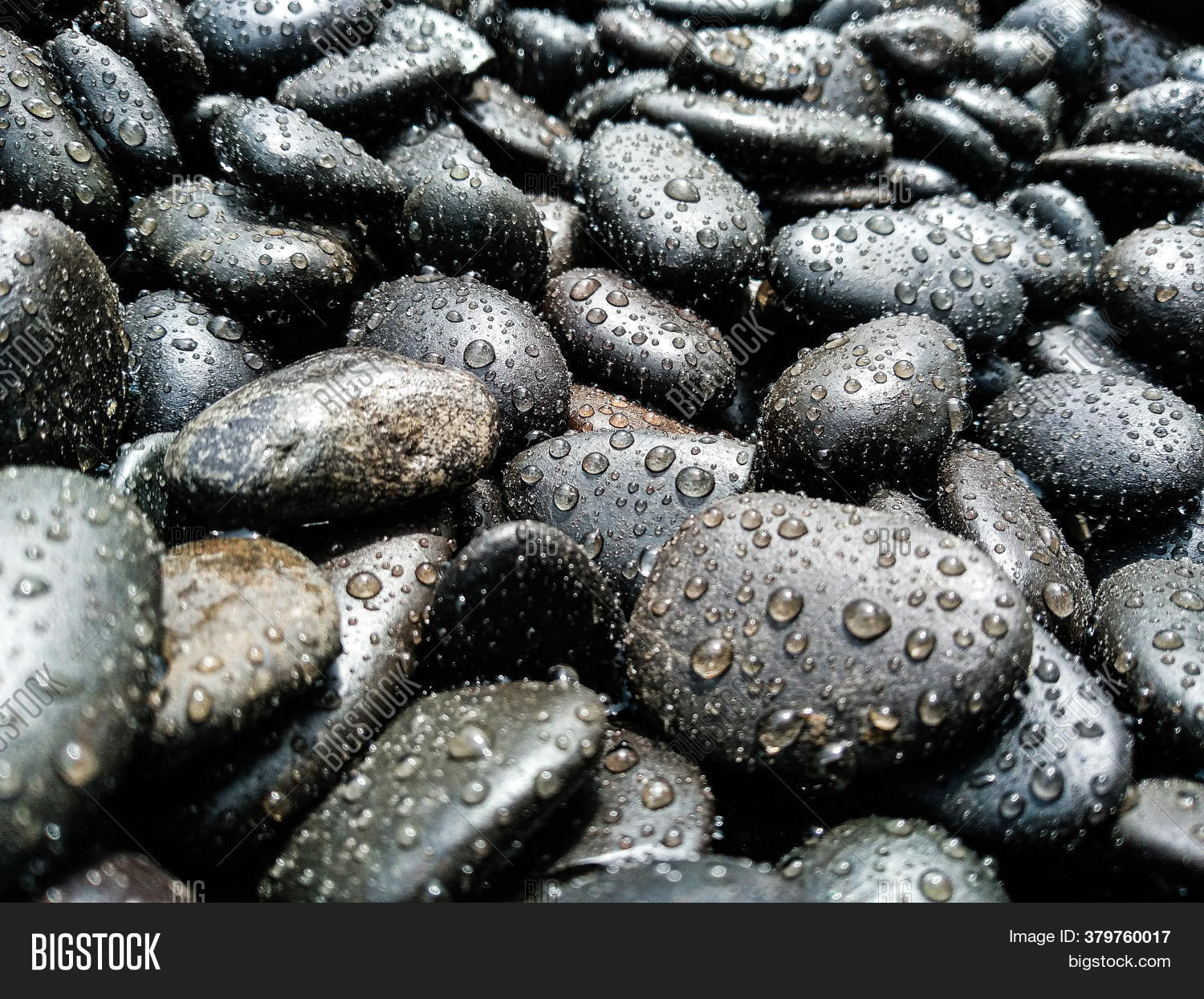 Many Dark Stones Image & Photo (Free Trial) | Bigstock