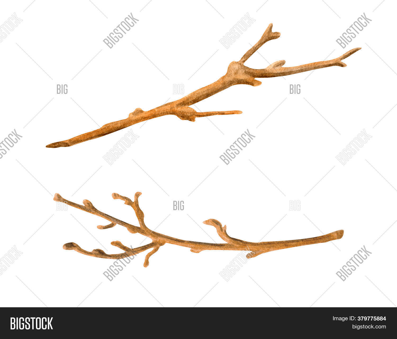 Wooden Branch Stick