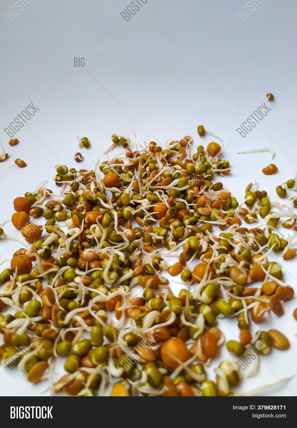 Indian Raw Materials