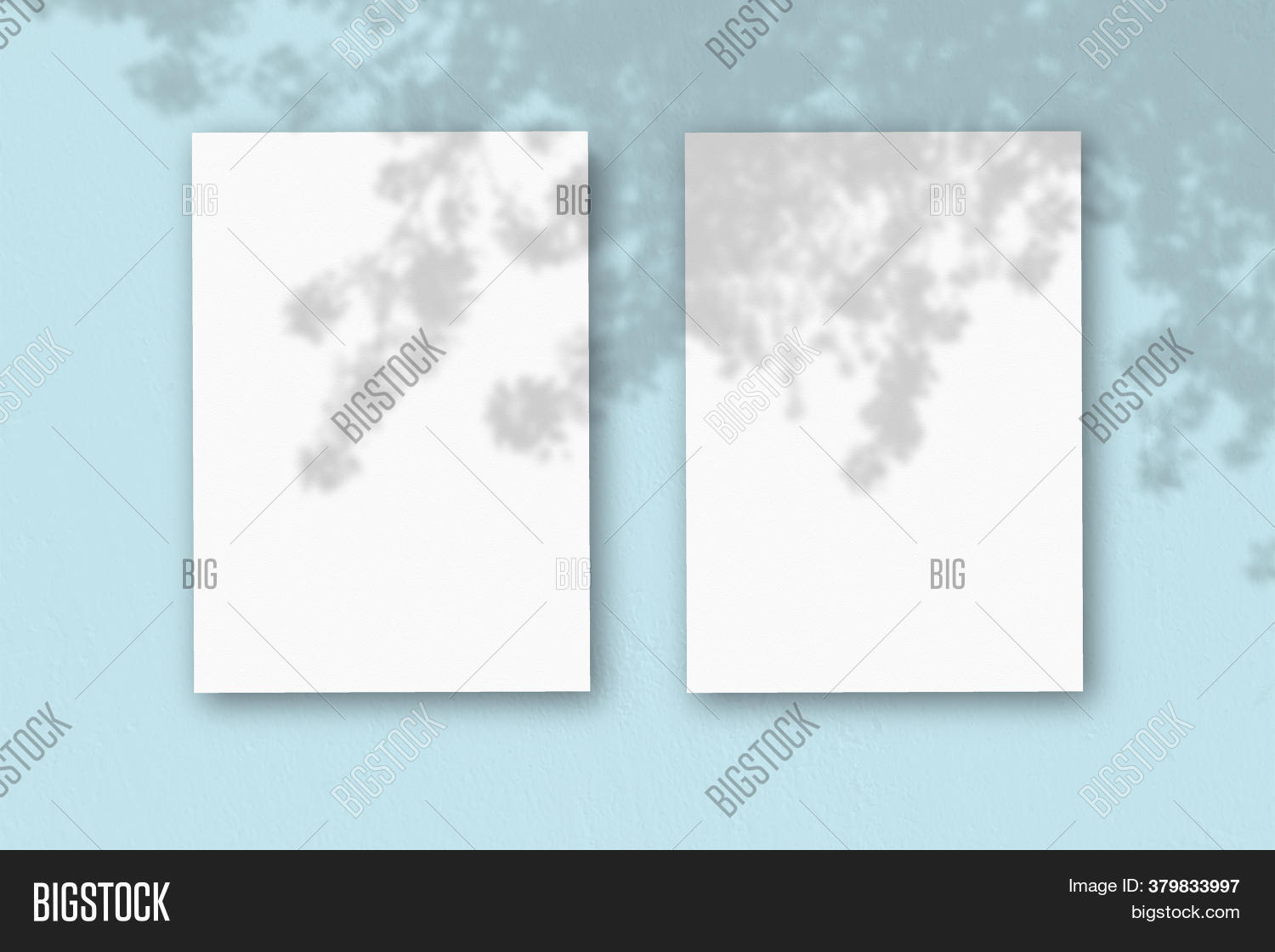 2 Vertical Sheets Image & Photo (Free Trial) | Bigstock