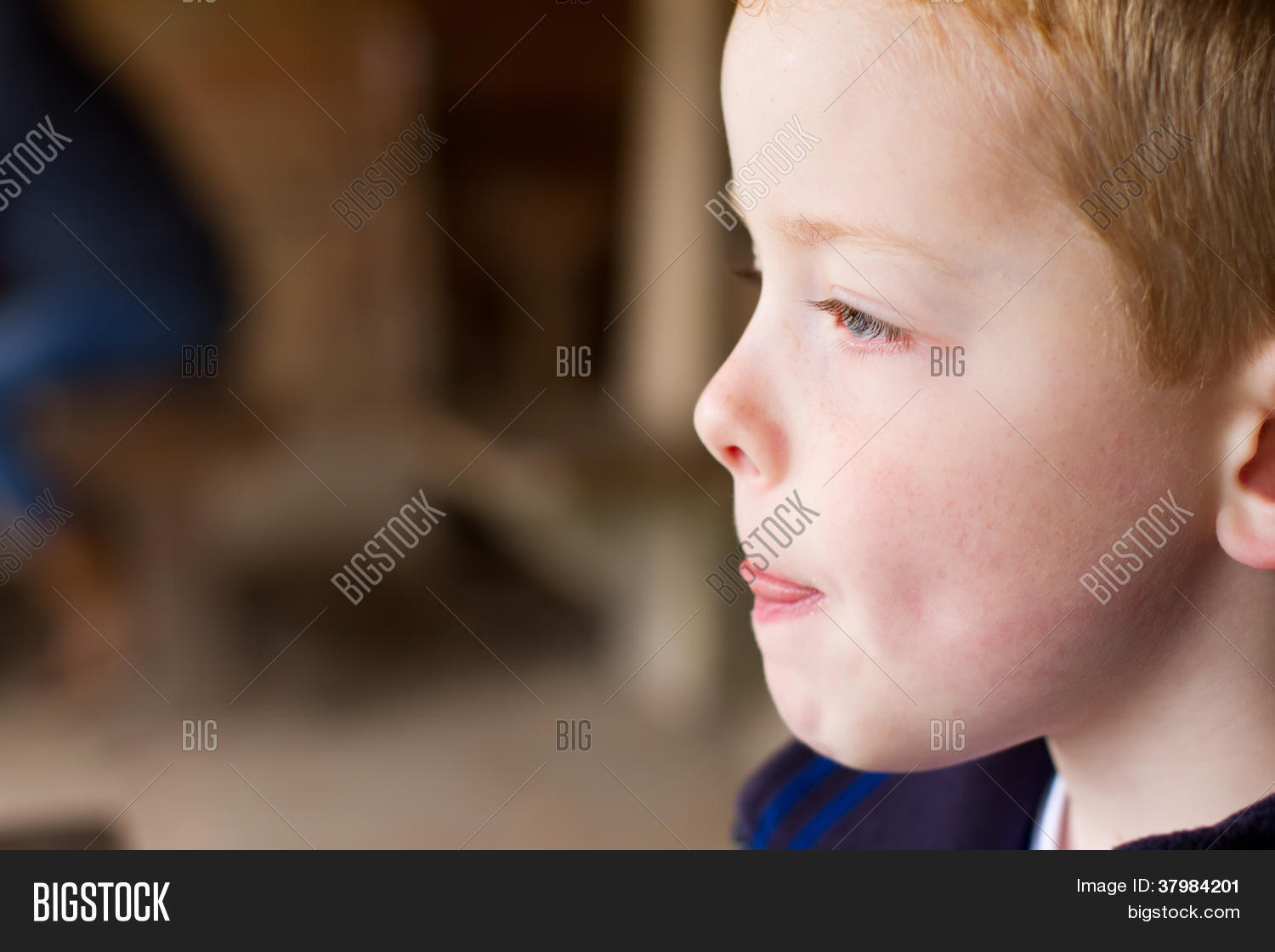 ภาพและภาพถ่าย (ทดลองใช้ฟรี) | Bigstock