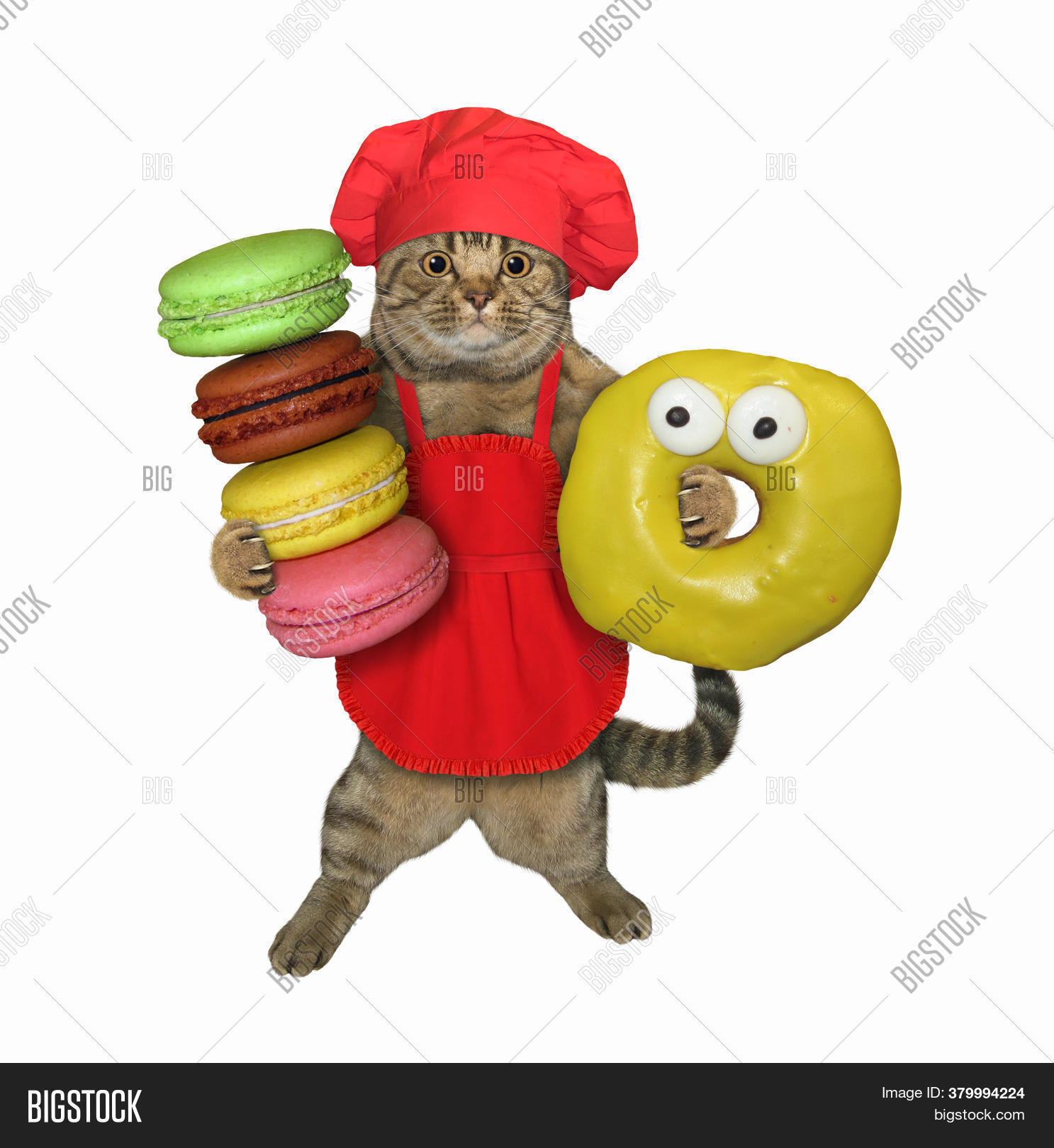 Beige Cat Baker Red Image & Photo (Free Trial) | Bigstock