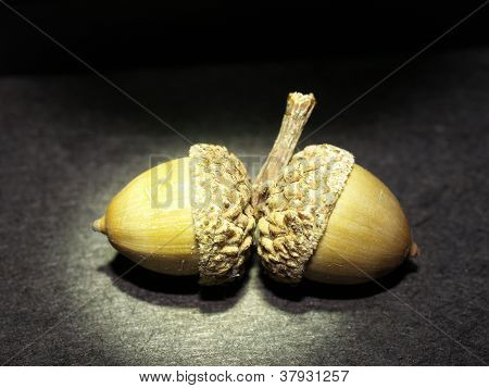 Images, Illustrations & Vectors (Free) - Bigstock