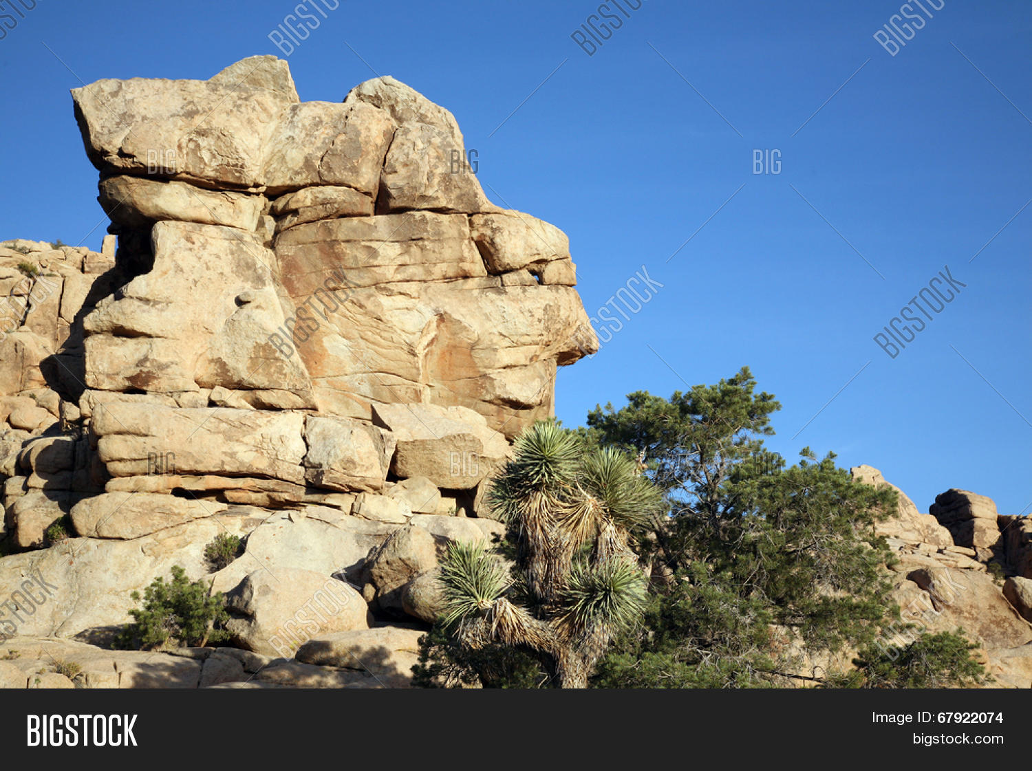 Rock Formation Face Image & Photo (Free Trial) | Bigstock