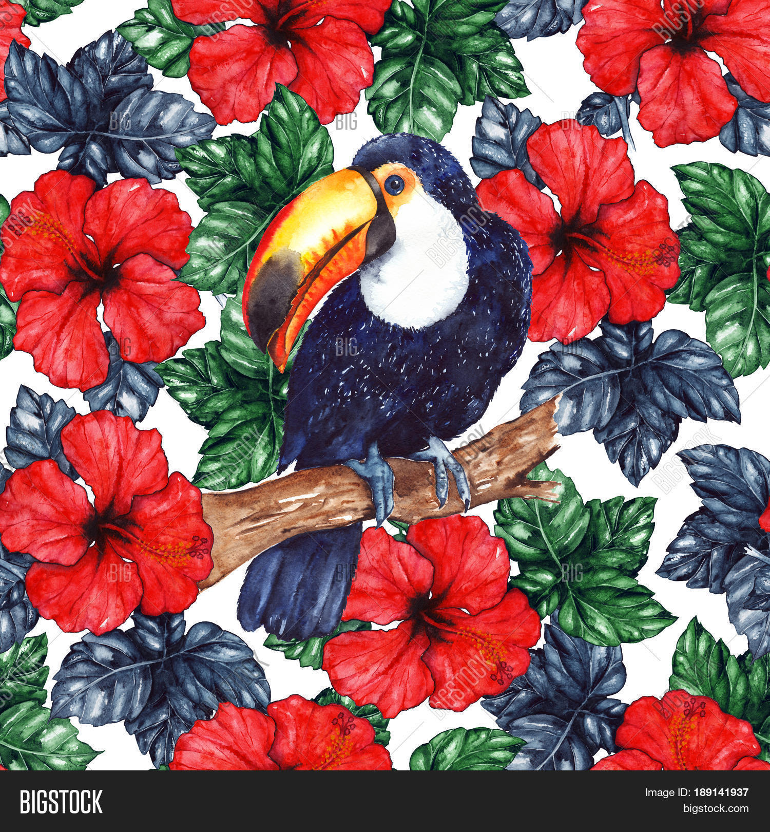 Watercolor Exotic Image & Photo (Free Trial) | Bigstock