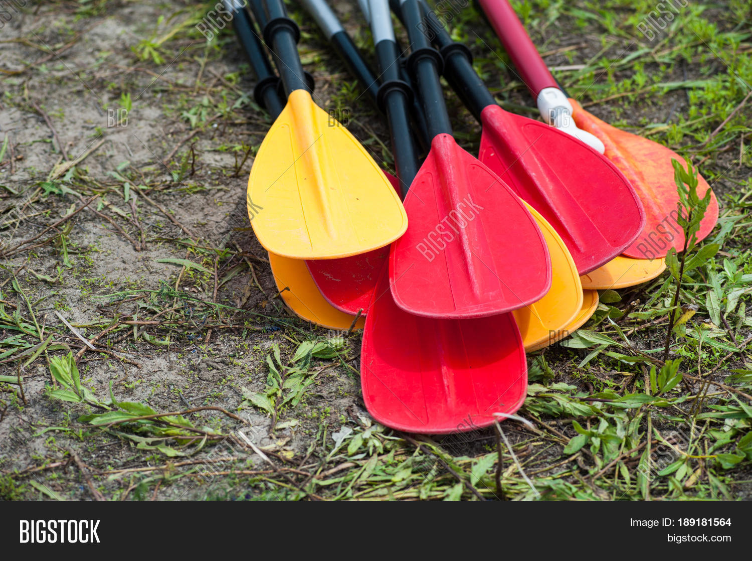 Kayak Oars Paddles On Image & Photo (Free Trial) | Bigstock