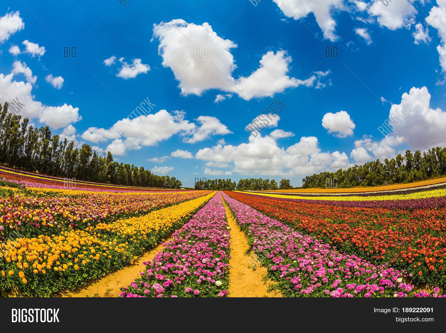 Farm Field Beautiful Image & Photo (Free Trial) | Bigstock