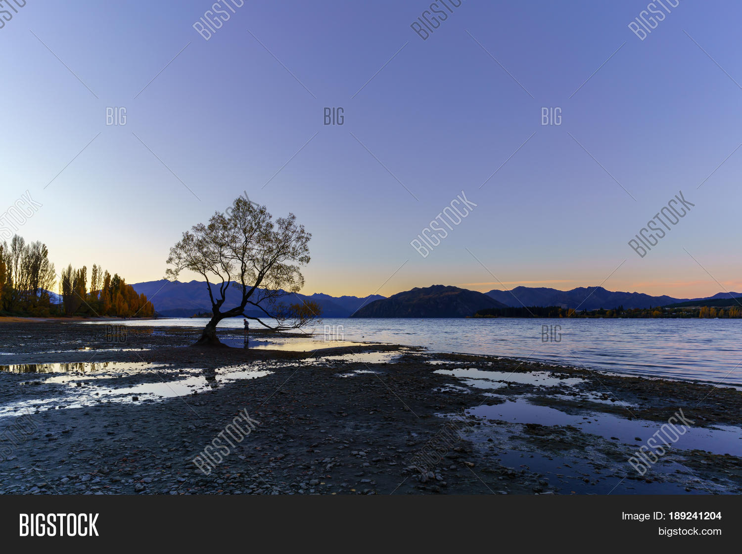 Famous Lone Tree Lake Image & Photo (Free Trial) | Bigstock