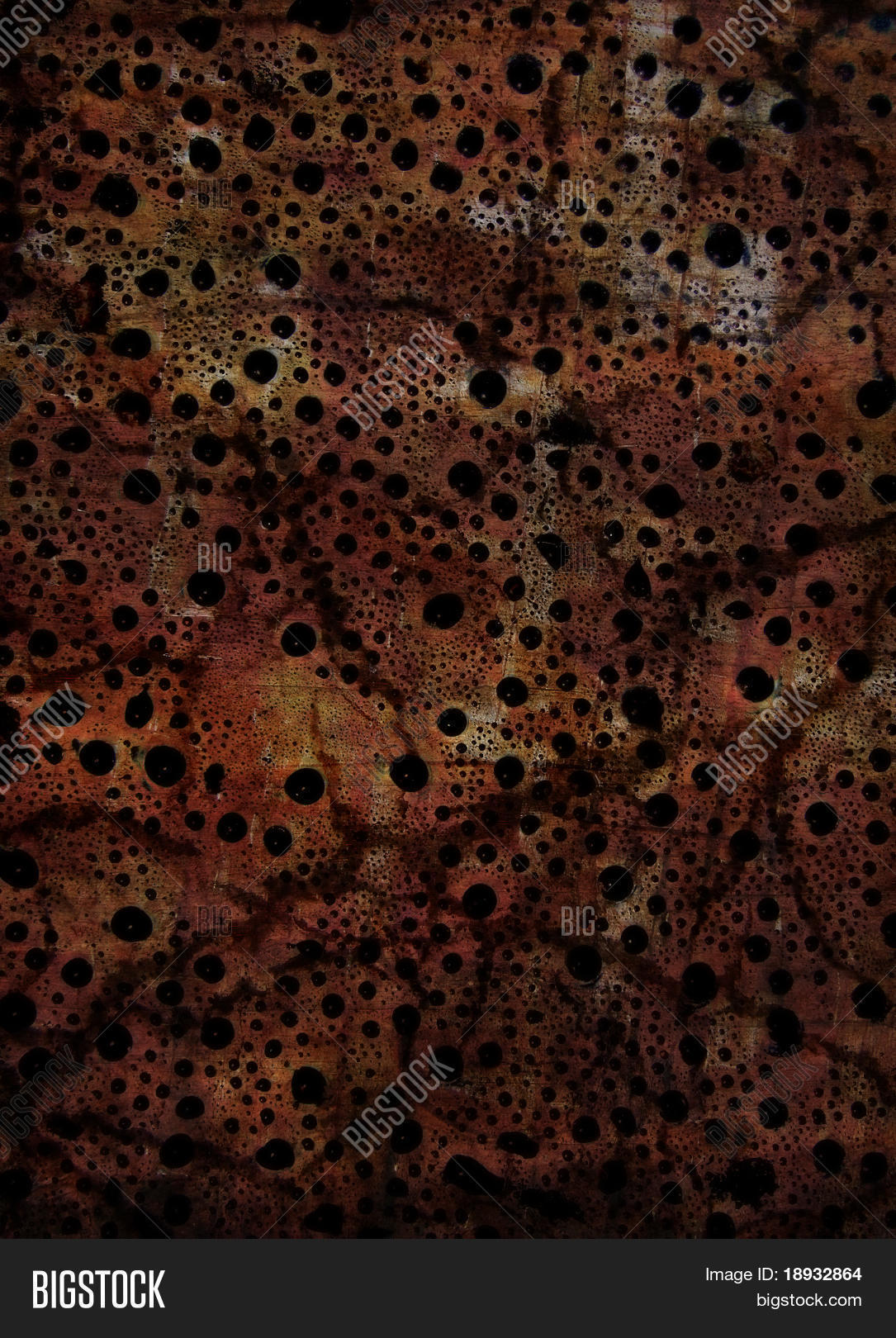 Grunge Spotted Image & Photo (Free Trial) | Bigstock