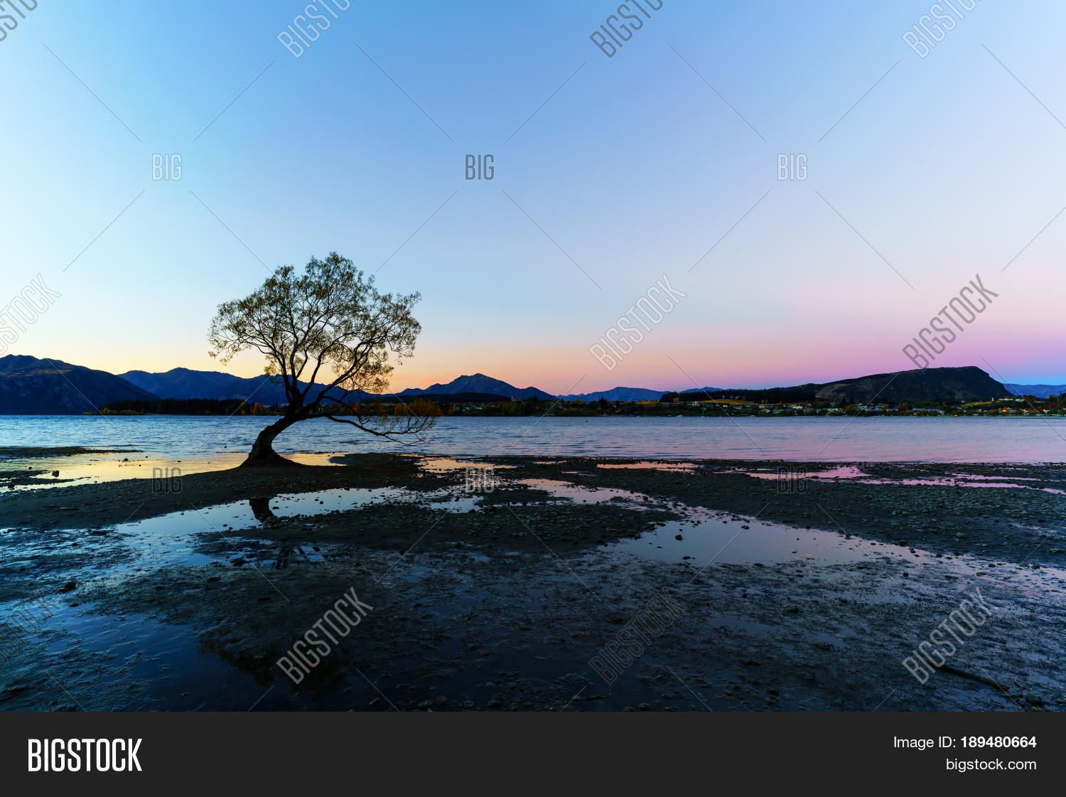 Famous Lone Tree Lake Image & Photo (Free Trial) | Bigstock
