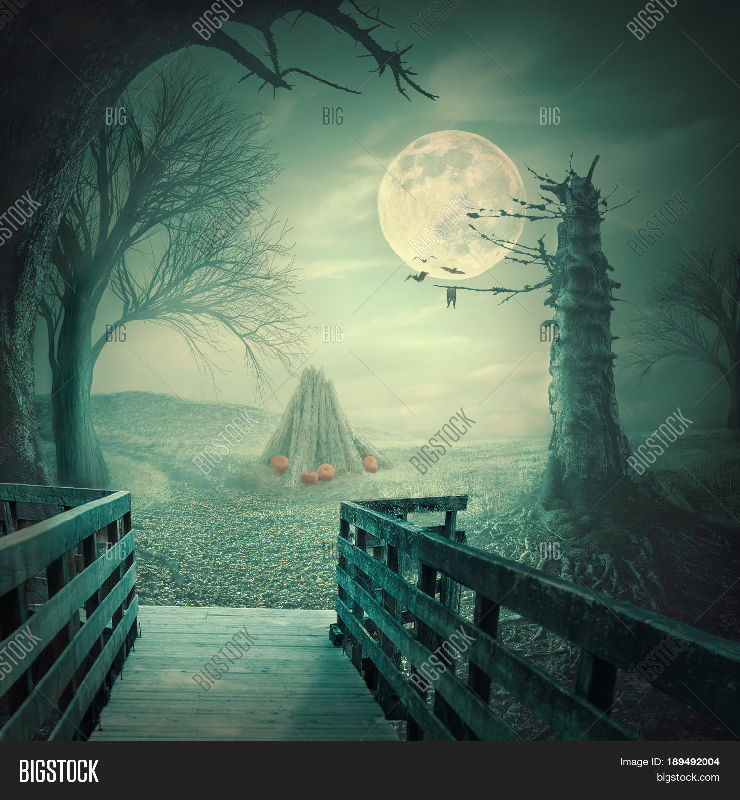 Mystical Autumn Forest Image & Photo (Free Trial) | Bigstock