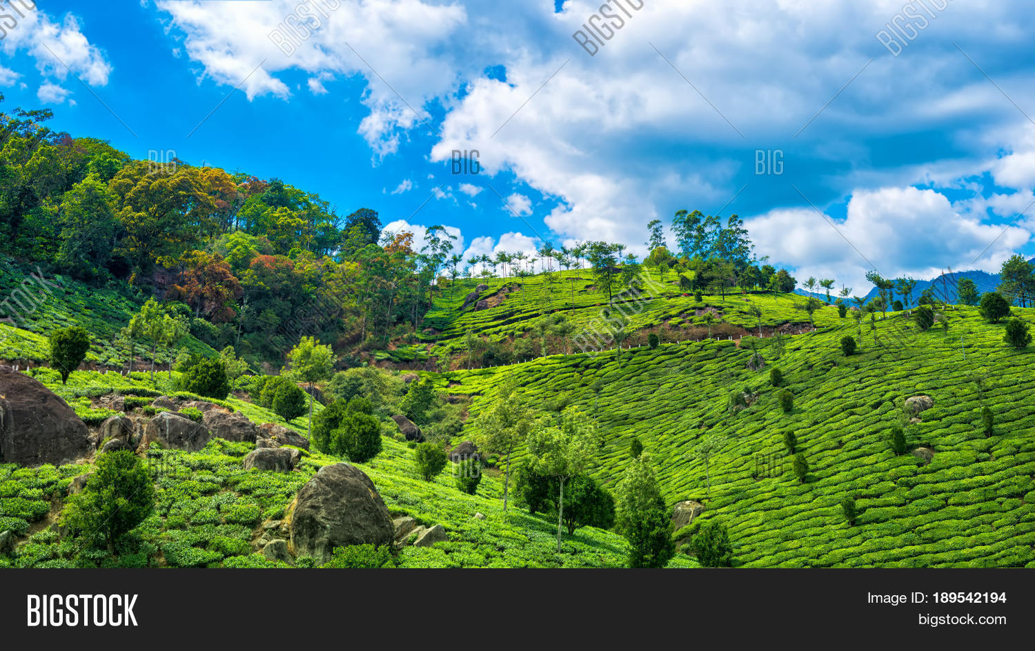 Beautiful Scene India Image & Photo (Free Trial) | Bigstock