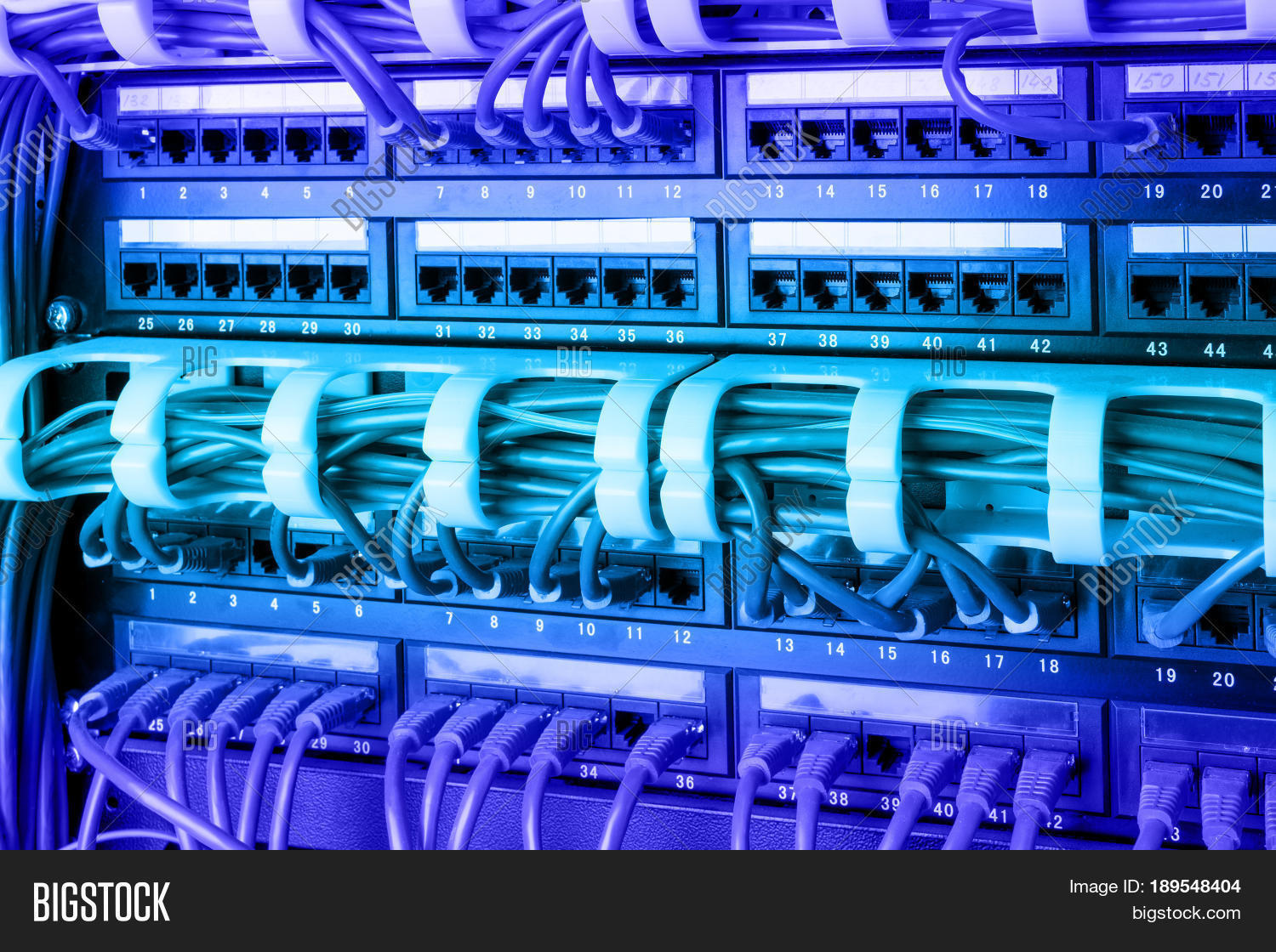 Network Panel Switch Image & Photo (Free Trial) | Bigstock