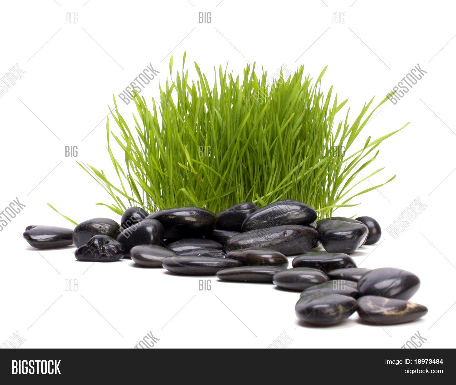 Grass Stones Isolated Image & Photo (Free Trial) | Bigstock