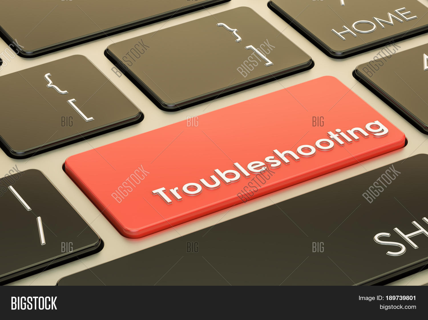 Troubleshooting Image & Photo (Free Trial) | Bigstock