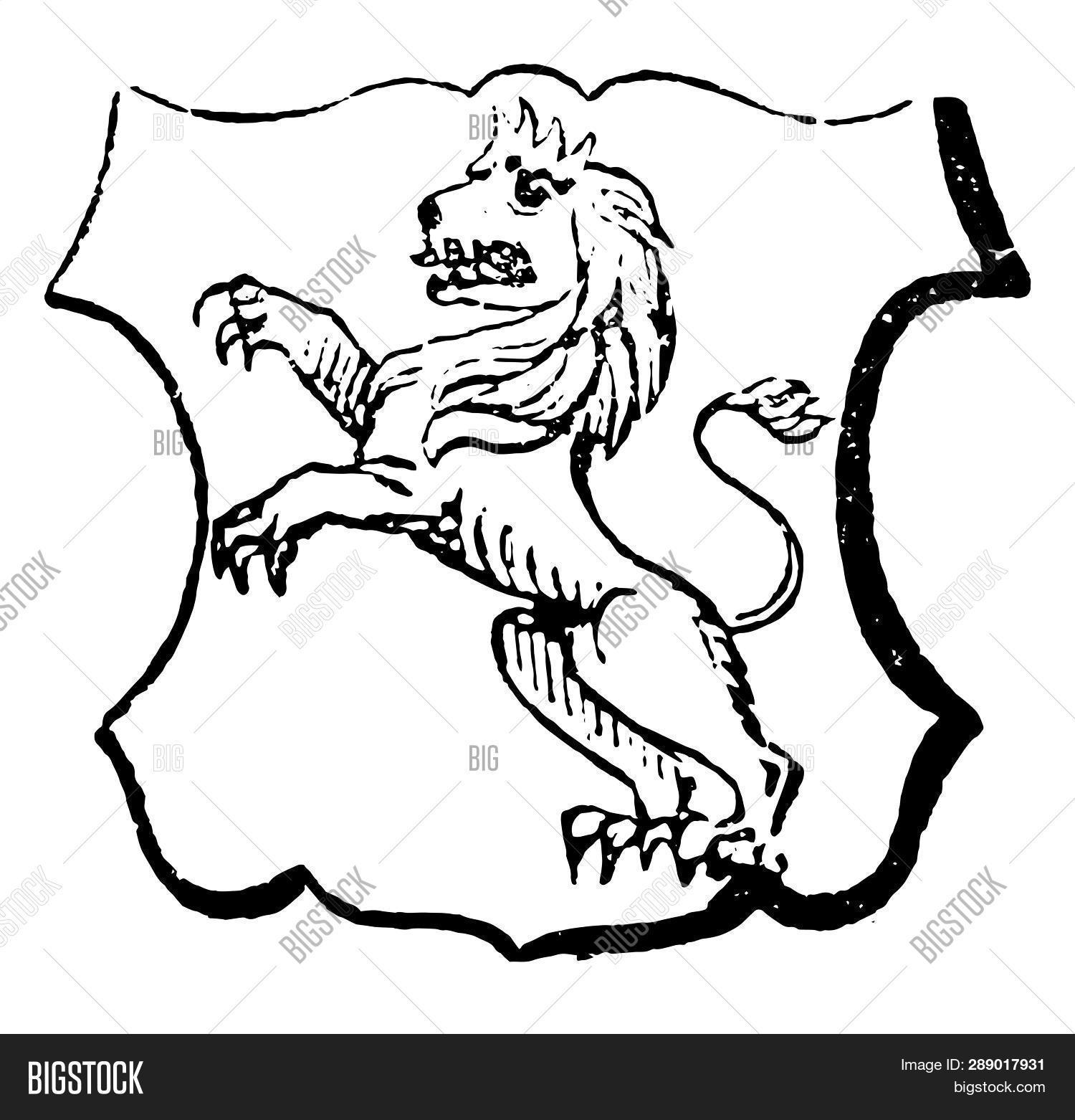 Lion Salient Animal Image & Photo (Free Trial) | Bigstock