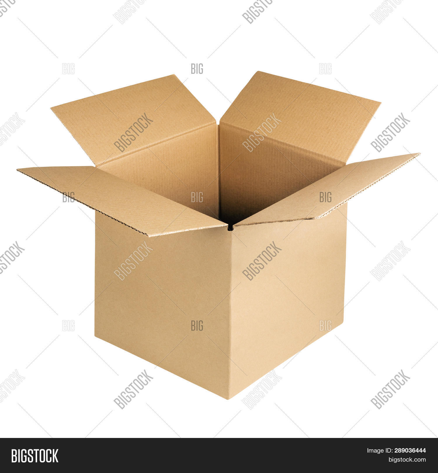 Open Cardboard Box Image & Photo (Free Trial) | Bigstock