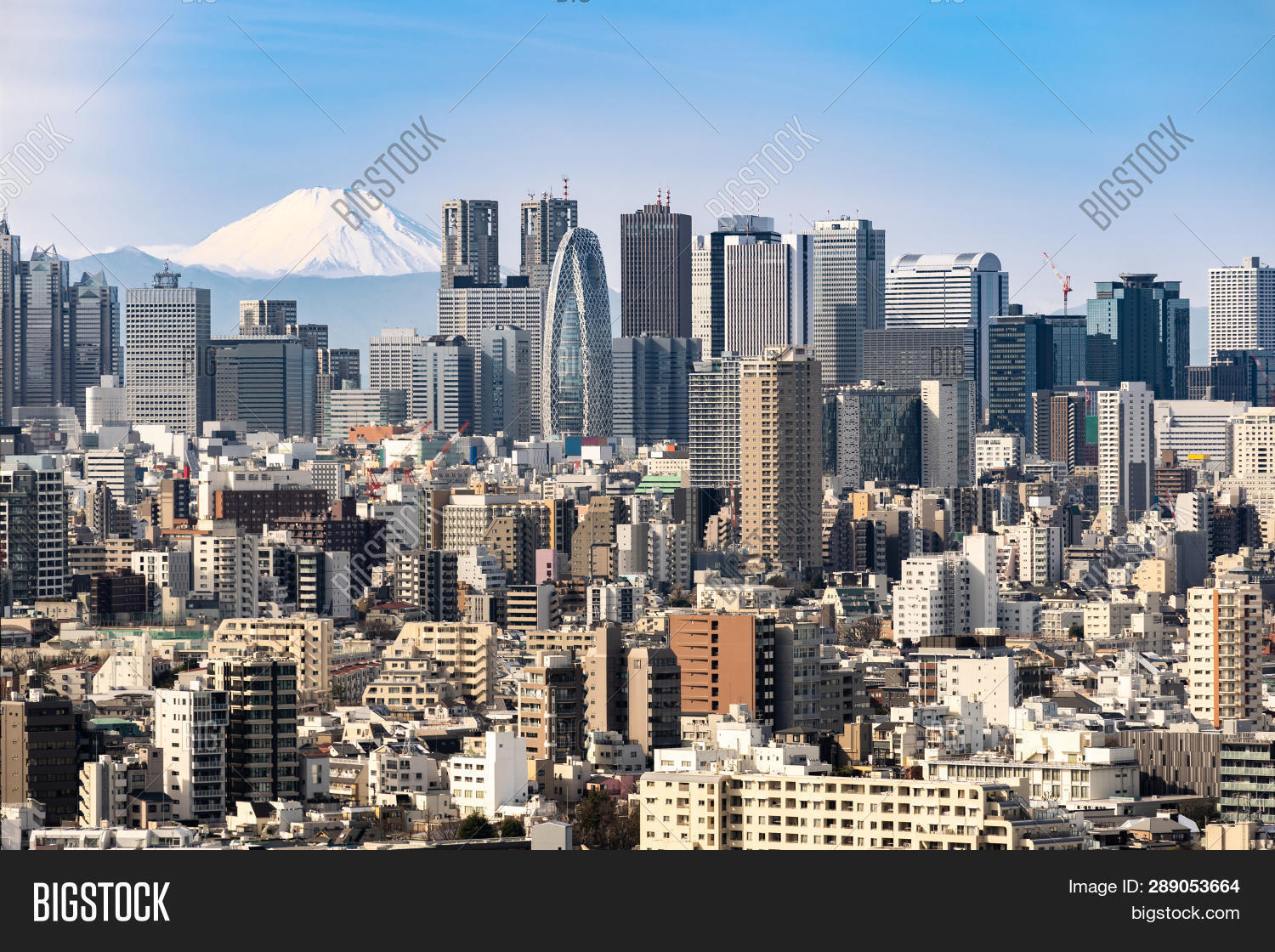 Mountain Fuji Tokyo Image & Photo (Free Trial) | Bigstock