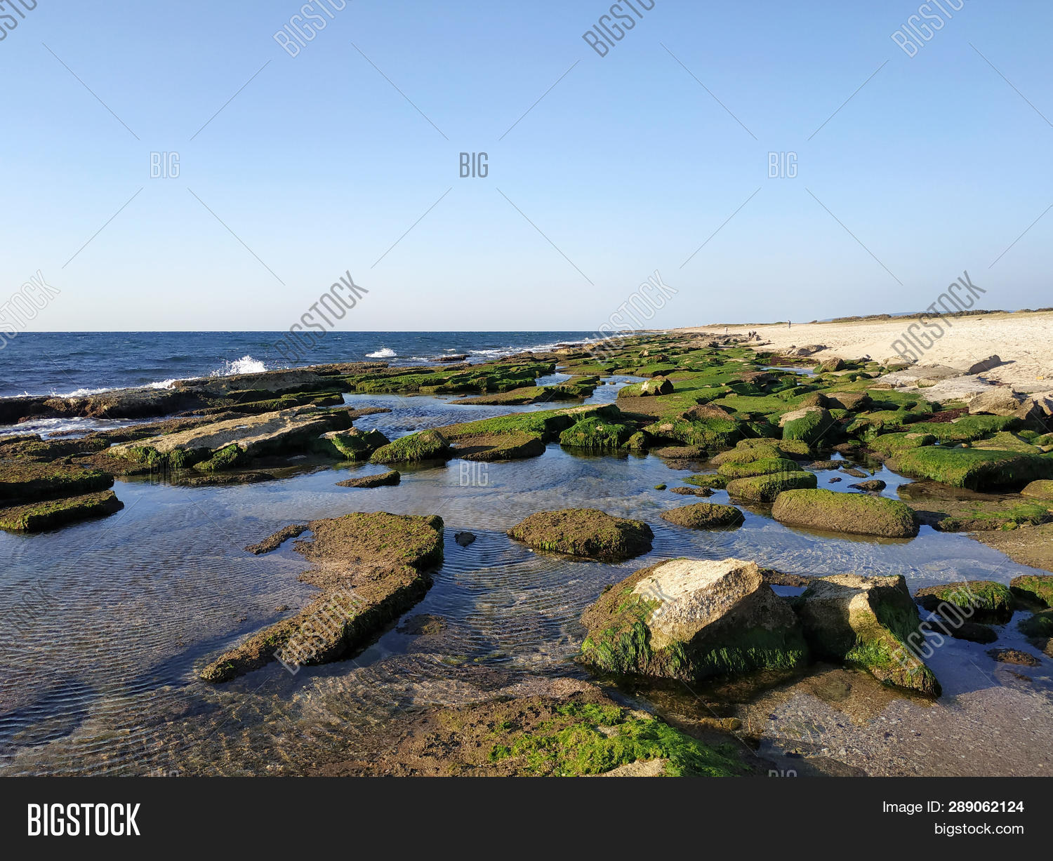Bustan Hagalil Sandy Image & Photo (Free Trial) | Bigstock