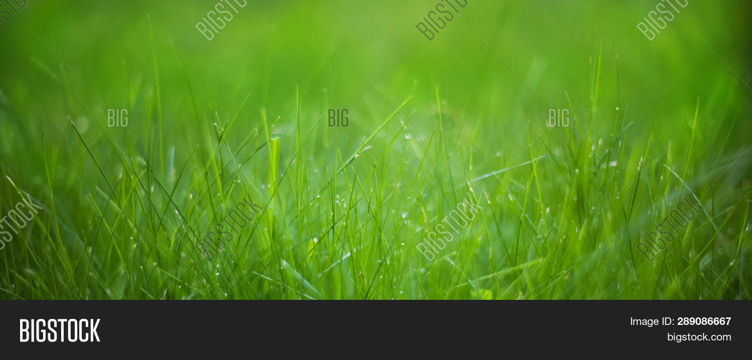Wide Angle Nature Image & Photo (Free Trial) | Bigstock