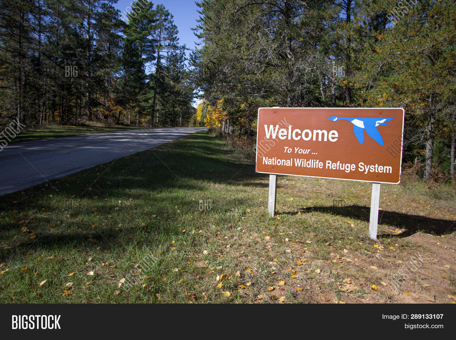 Seney, Michigan, Usa Image & Photo (Free Trial) | Bigstock