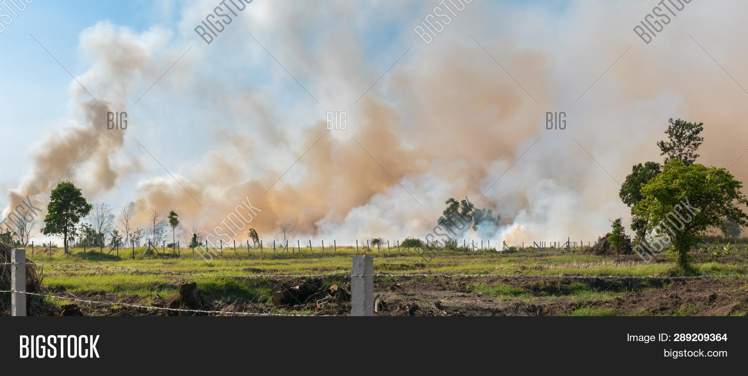 Pollution Agricultural Image & Photo (Free Trial) | Bigstock