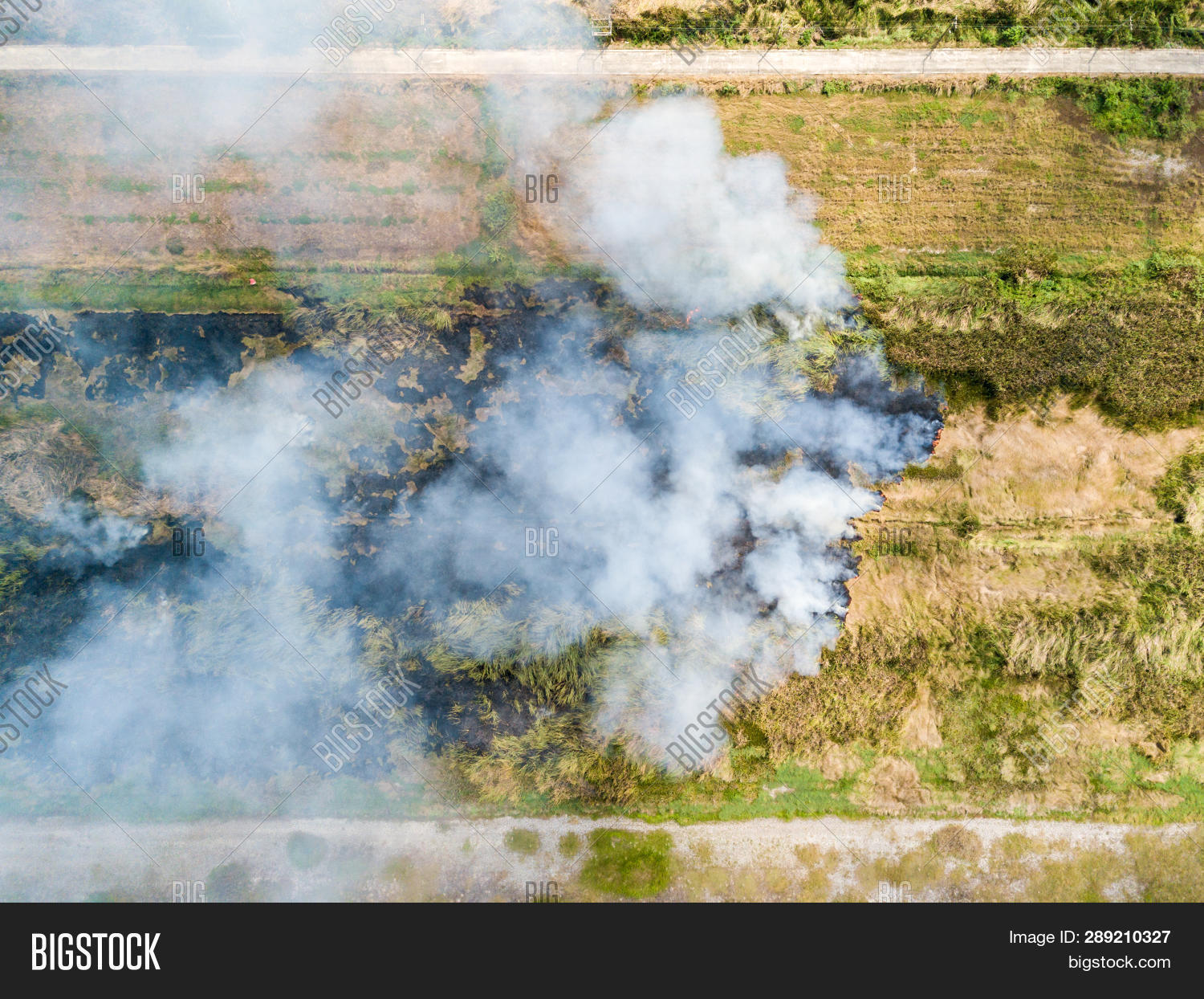Pollution Agricultural Image & Photo (Free Trial) | Bigstock