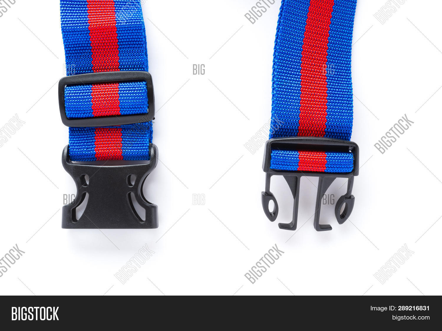 Blue Red Harness Black Image & Photo (Free Trial) | Bigstock