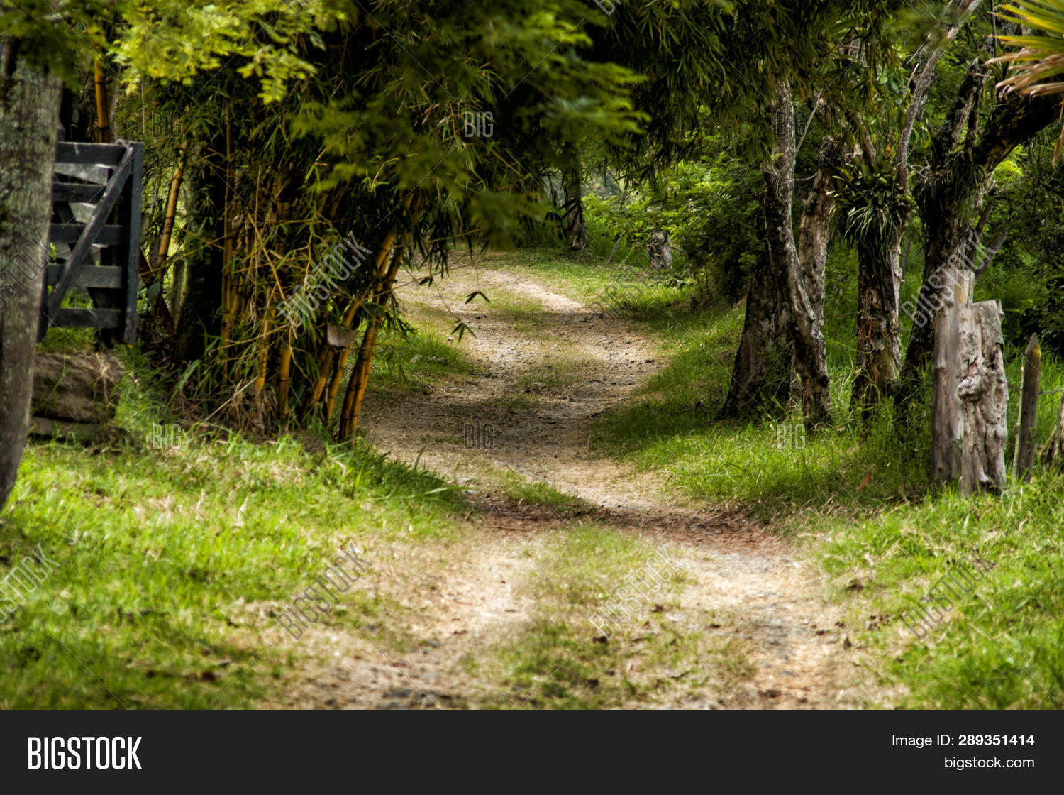 Rural Path- Landscape Image & Photo (Free Trial) | Bigstock