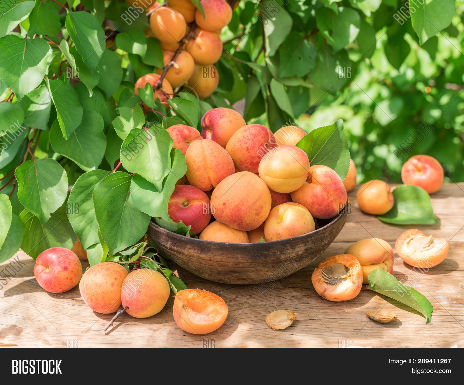 Ripe Apricots Wooden Image & Photo (Free Trial) | Bigstock