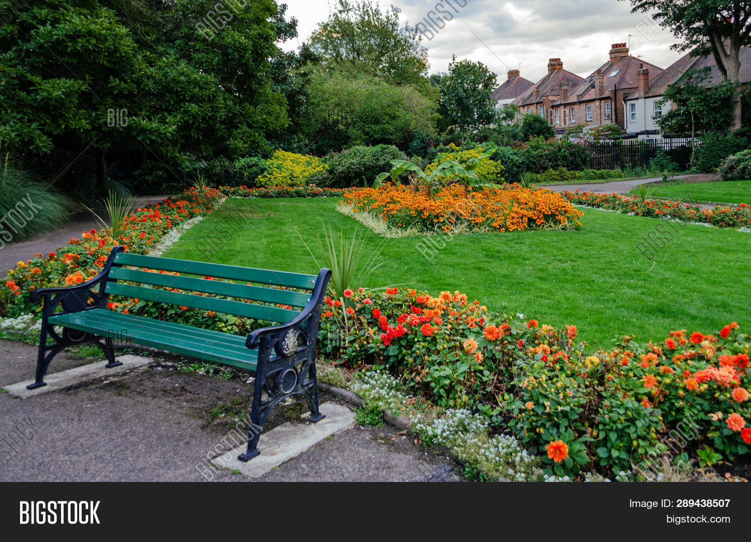 Beautiful View Trees Image & Photo (Free Trial) | Bigstock