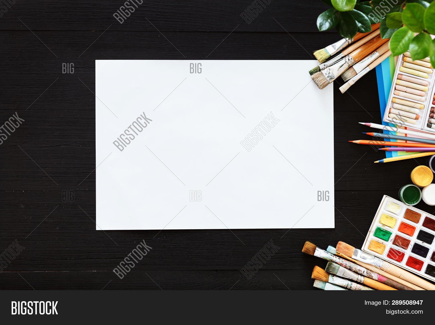 Creative Paint Image & Photo (Free Trial) | Bigstock