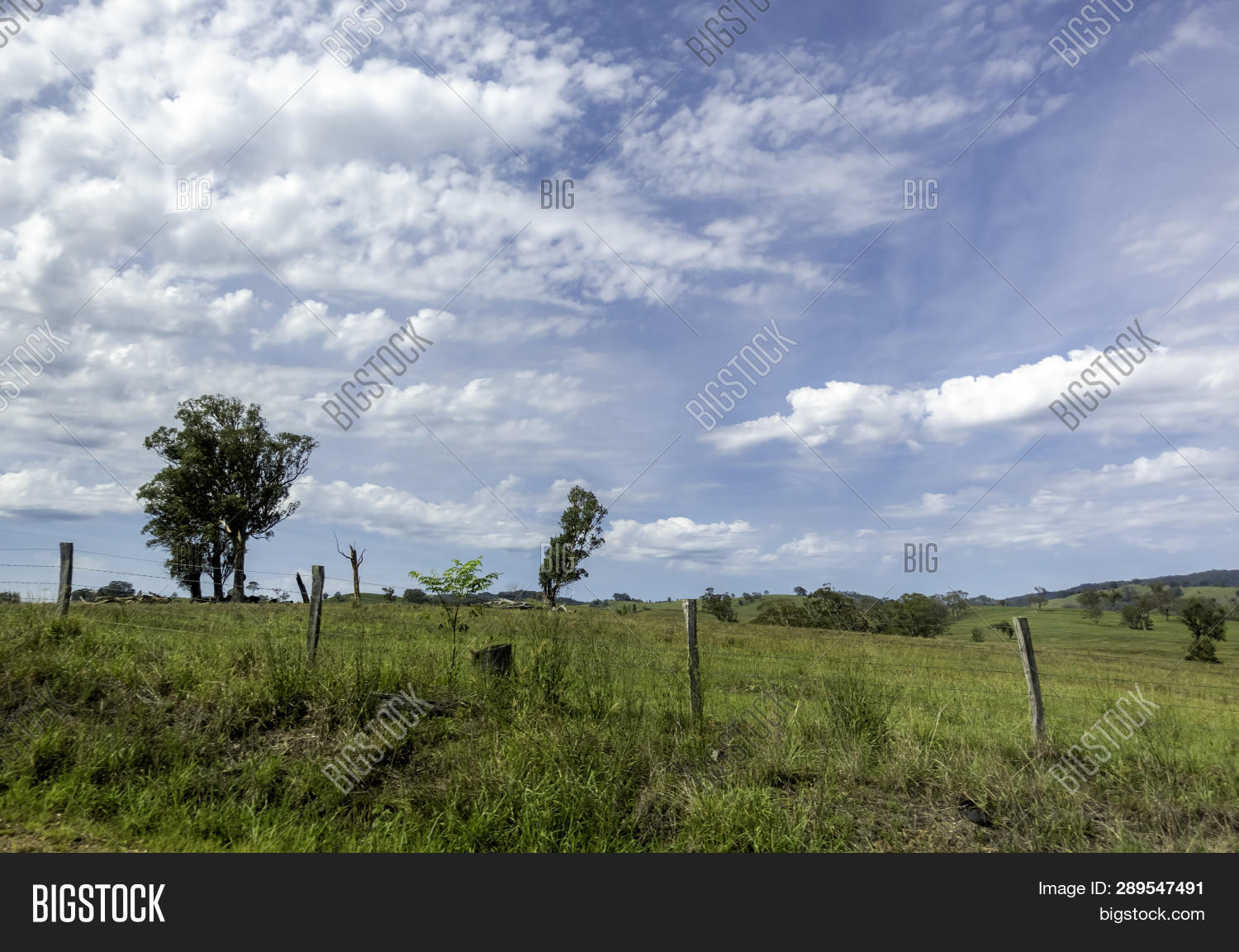 Australian Countryside Image & Photo (Free Trial) | Bigstock