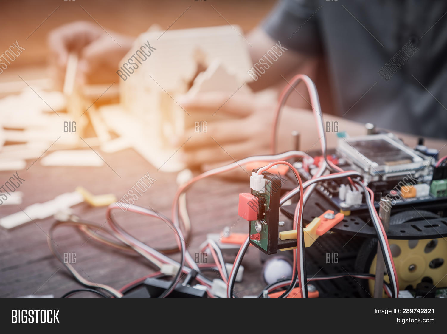 Stem Education Image & Photo (Free Trial) | Bigstock