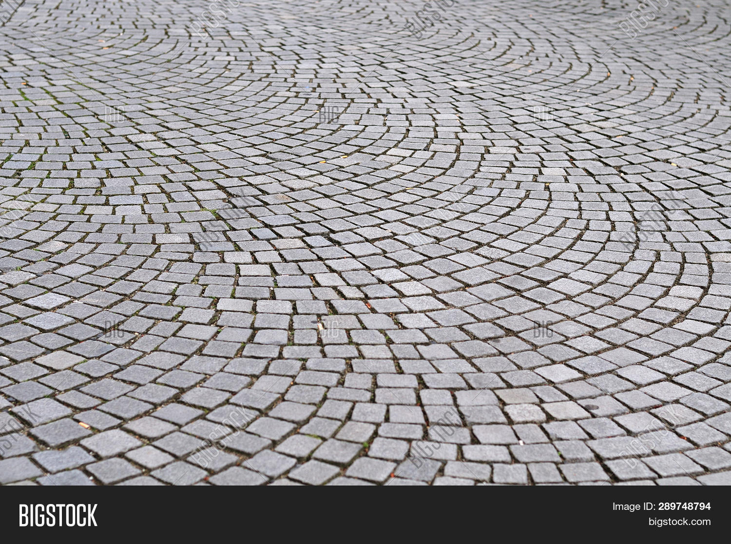 Sett Stone Pavement Image & Photo (Free Trial) | Bigstock
