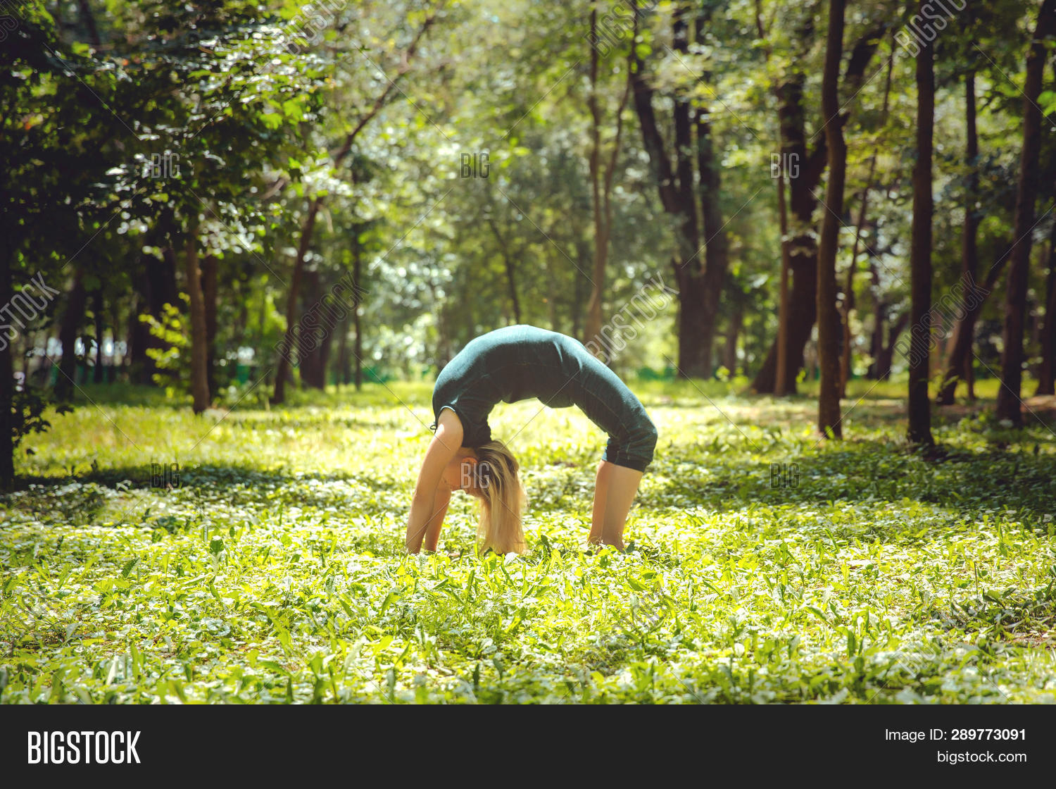 Urdhva Dhanurasana Image Photo Free Trial Bigstock