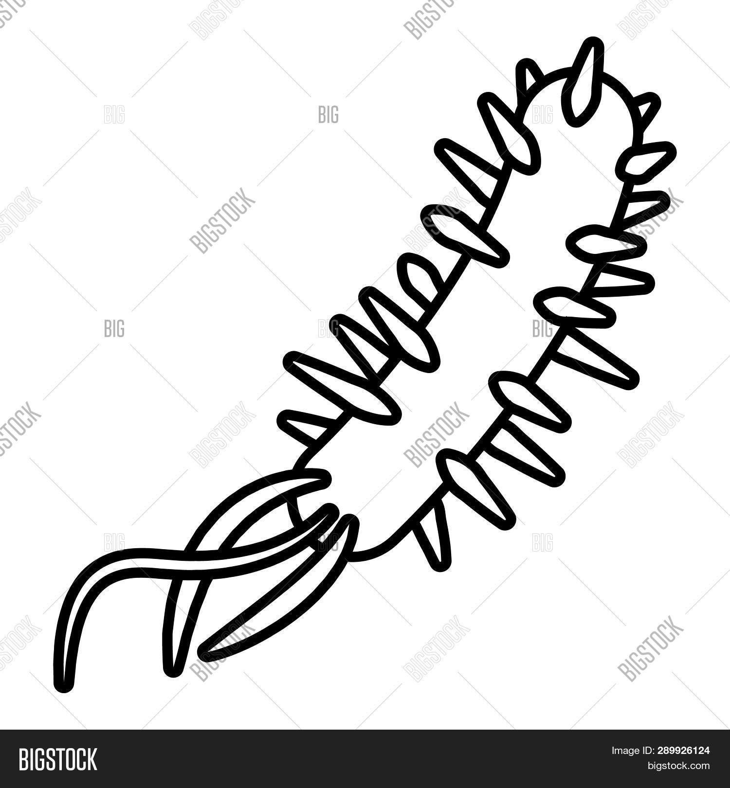 E Coli Bacteria Icon. Image & Photo (Free Trial) | Bigstock