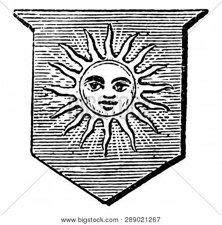 Sun Splendor Figured, Image & Photo (Free Trial) | Bigstock