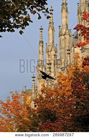 Maple Trees Autumn Image & Photo (Free Trial) | Bigstock