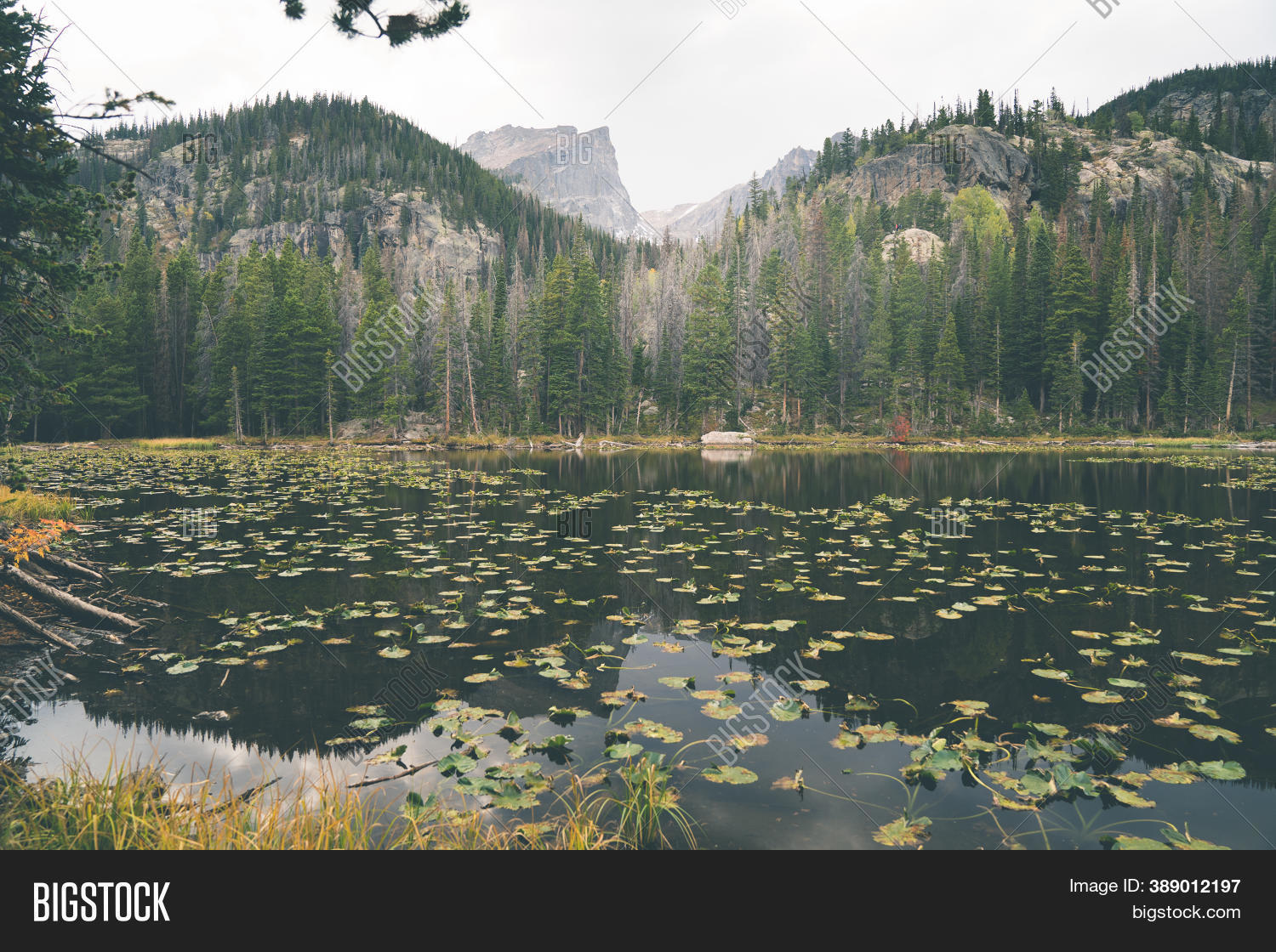 Nymph Lake Rocky Image & Photo (Free Trial) | Bigstock