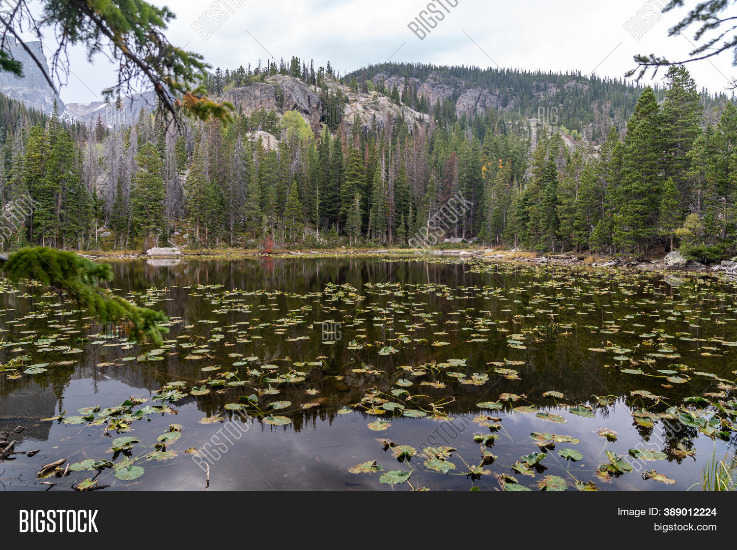 Nymph Lake Rocky Image & Photo (Free Trial) | Bigstock