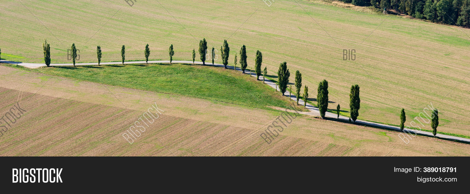 Panoramic View Road Image & Photo (Free Trial) | Bigstock