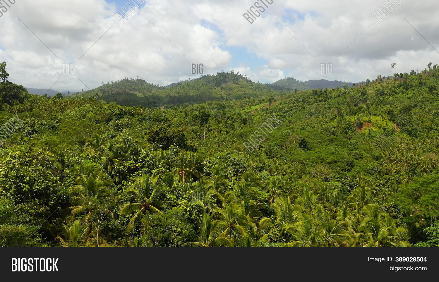 Aerial View Rainforest Image & Photo (Free Trial) | Bigstock